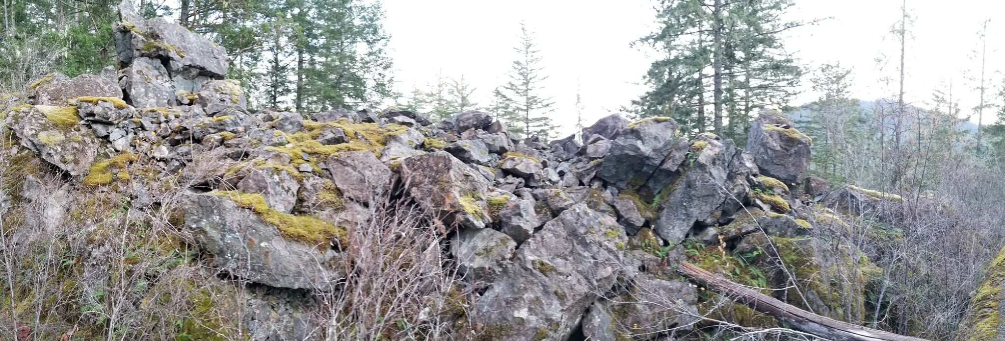 ROMANTIC HIKE ALONG THE SOOKE FLOWLINE - NICOLE TAYLOR EBY